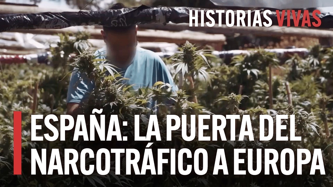 ESPAÑA: la ENTRADA del NARCOTRÁFICO de CANNABIS a EUROPA | Historias Vivas | Documental HD