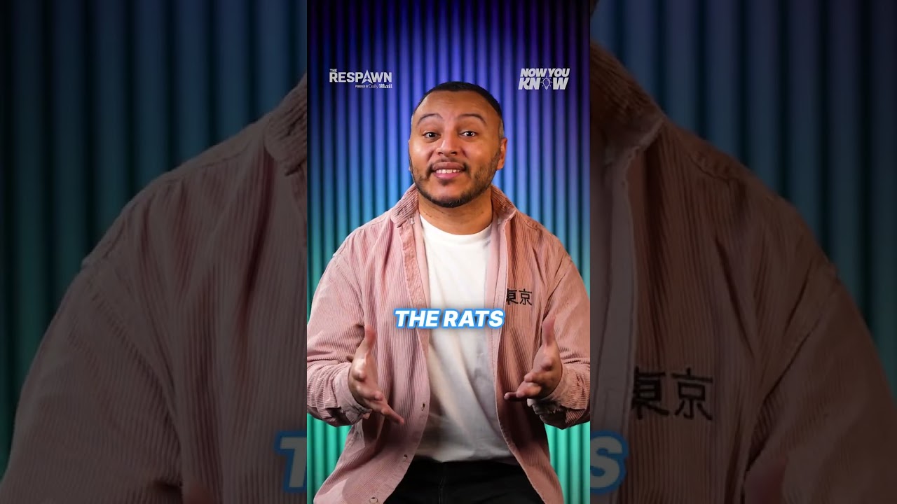 Rats are now certified gamers thanks to this neuroscientist