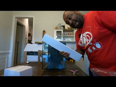 The Best Beginner Saltwater Tank on a Budget #ReefTank #BudgetBuild #AquariumSetup