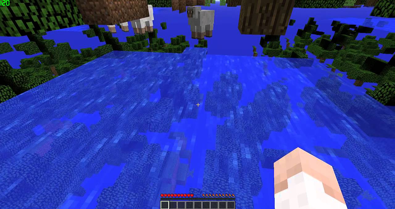 Minecraft 1.8 render bug