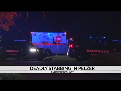 Pelzer man dies after stabbing in Anderson Co.