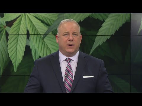 The role of medical cannabis for chronic pain