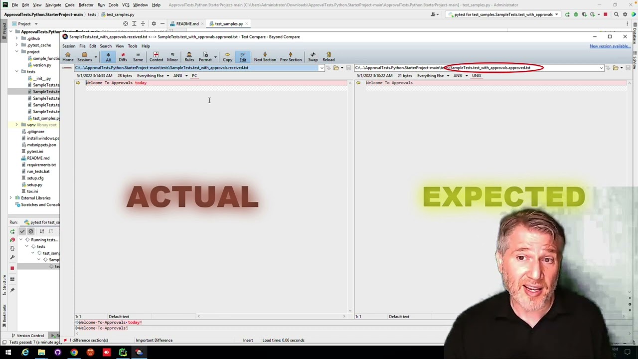 intro to python approvals