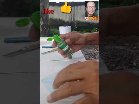 Cara mudah perbagus eKTP yang buram dan nyoplok#shorts
