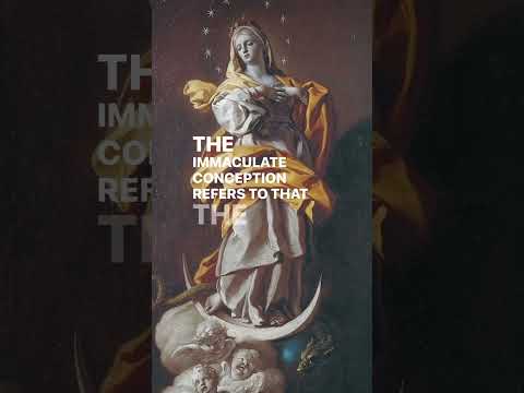 What is the meaning of The Immaculate Conception❤️#catholic#virginmary#jesus