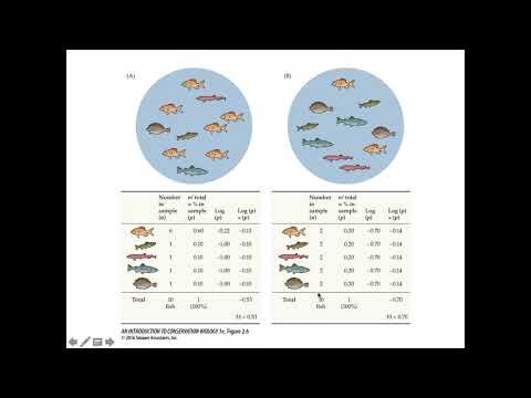 Species Diversity