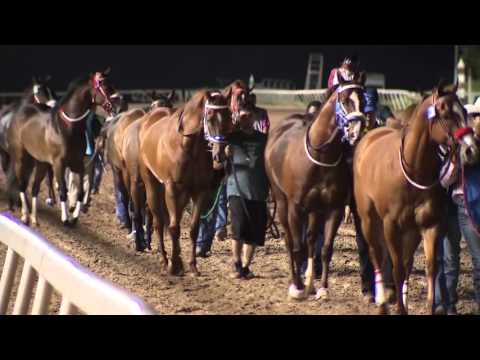 Race for Kansas