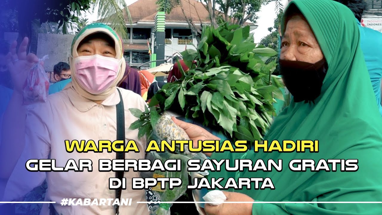 Warga Antusias Hadiri Gelar Berbagi Sayuran Gratis Di BPTP Jakarta