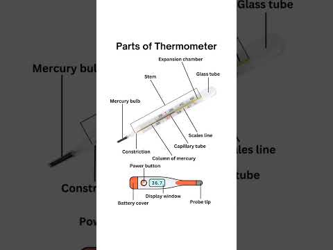 The Hidden Science Behind Thermometers