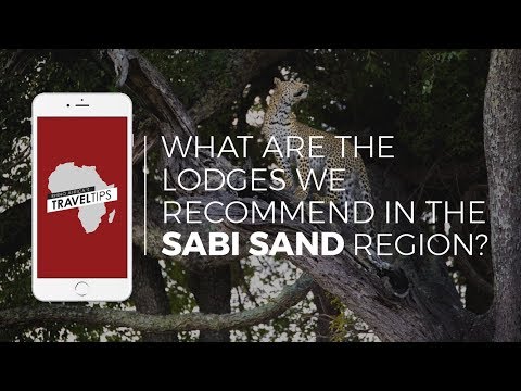What are the lodges we recommend in the Sabi Sand region? Rhino Africa's Travel Tips