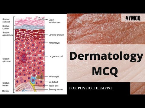 Dermatology / Integumentary system / Skin MCQ