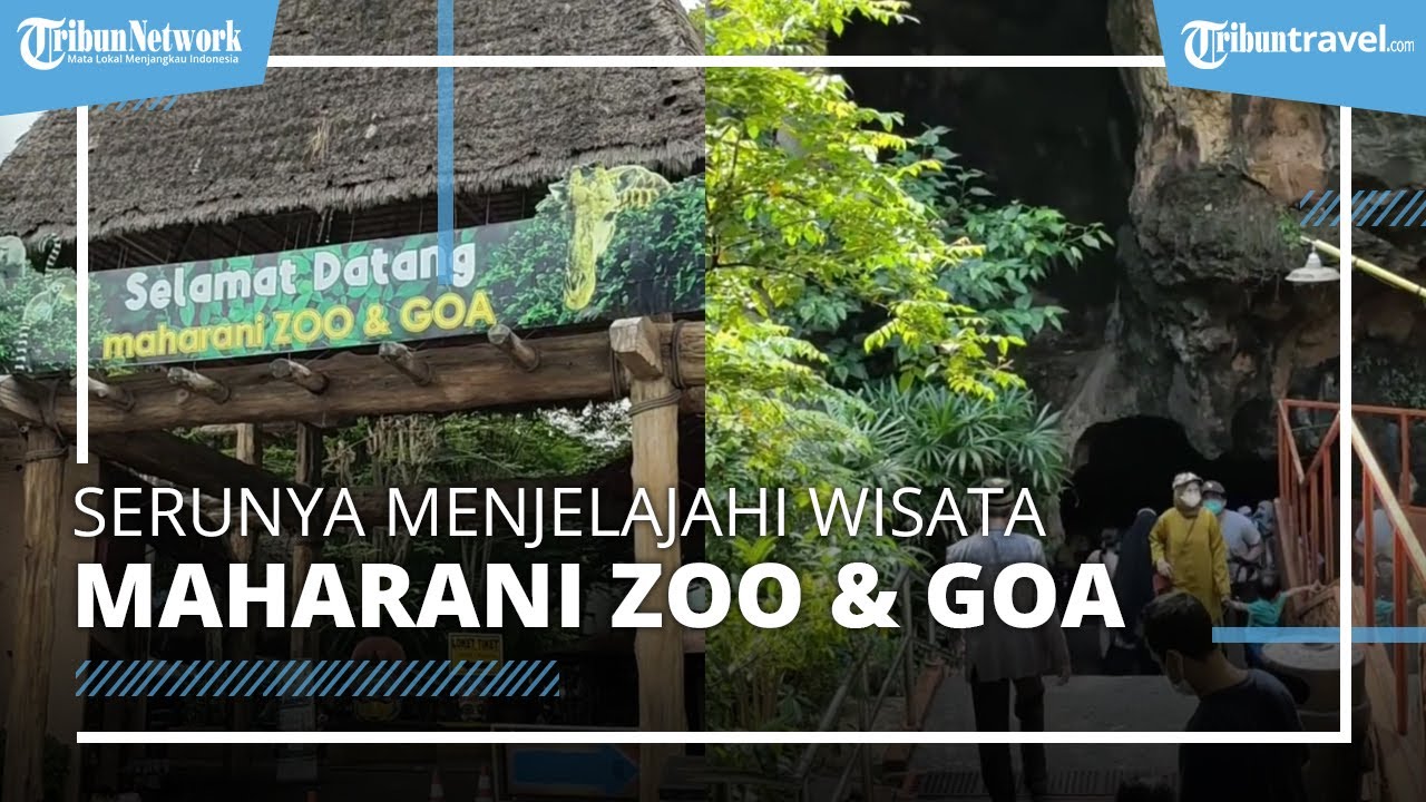 Mengenal Maharani Zoo & Goa, Bisa Jelajahi Kebun Binatang dan Goa ...