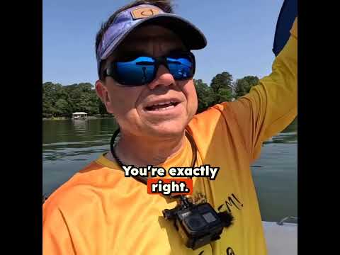 A Tough Time to Catch Catfish
