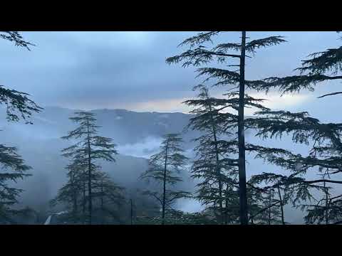 Mashobra Hills Mashobra, Shimla | Price List & Brochure, Floor Plan ...