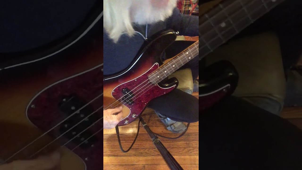 The JamersonPlus by CertainBass.  The Plus is the onboard Varitone I demonstrate for you here.