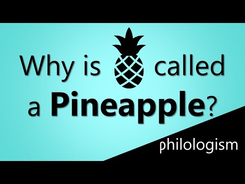 The Pineapple Conundrum