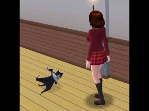 Steam Community :: Video :: breakdancing cat higher quality for 18 ...