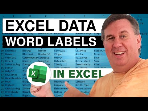 Excel - Labels from Excel Data to Word - Episode 1484