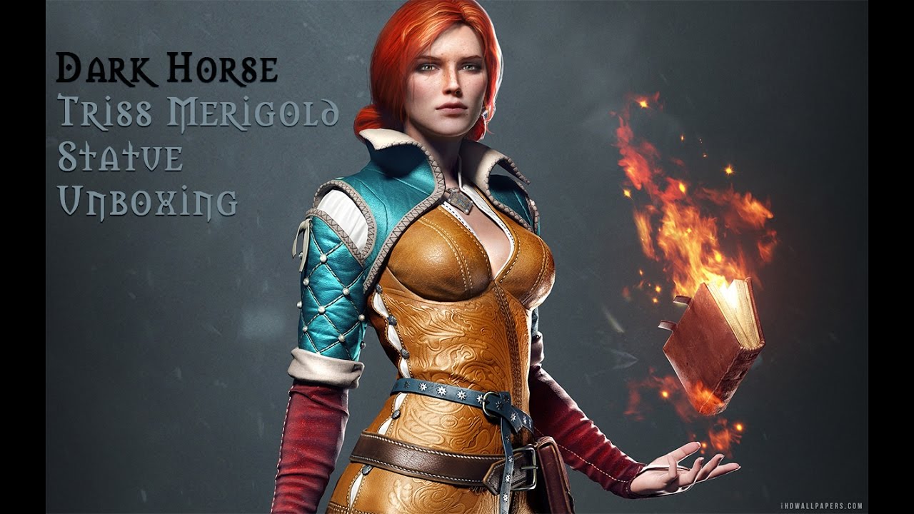 Dark Horse - Witcher 3 Triss Merigold Statue Unboxing