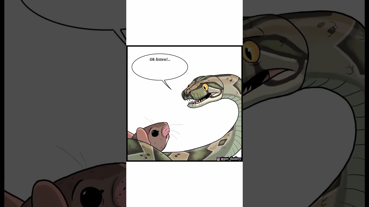 Pet Foolery: Snake (Comic Dub)