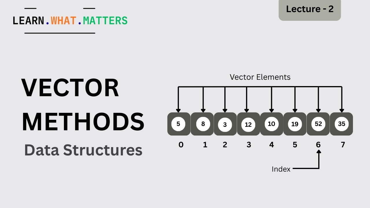 Vector In One Shot 🚀 | Learn What Matters | Lecture - 2  | Data Structures Series