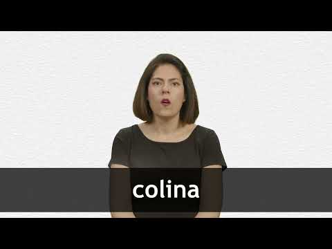 English Translation of “COLINA” | Collins Spanish-English Dictionary