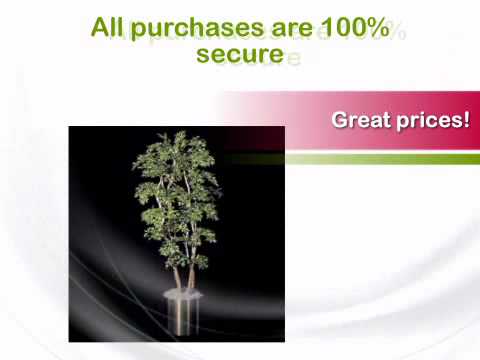 6 foot Mini Japanese Maple: Potted - artificialplantsandtrees.com
