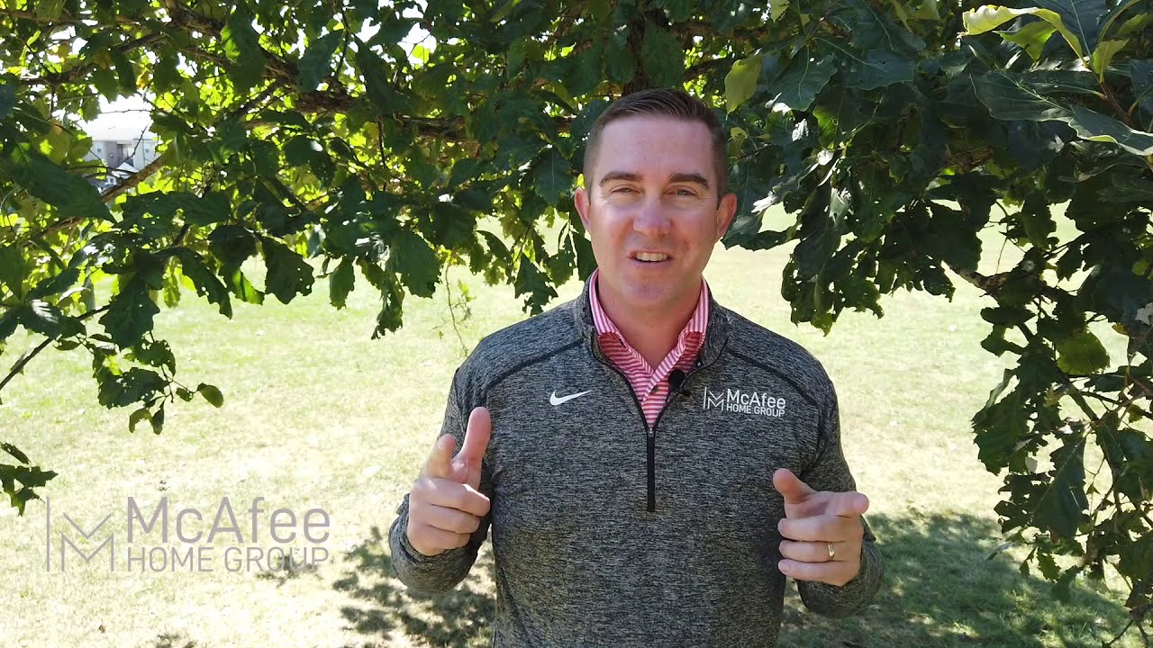 Shoaff Park:  the best park in Fort Wayne?