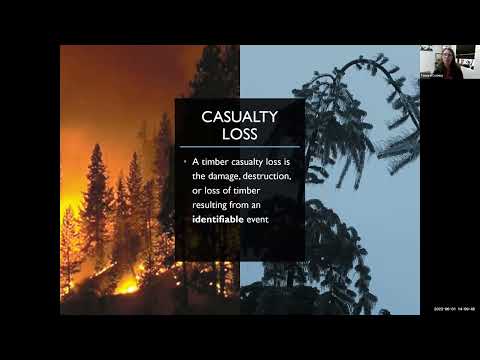 Hurricane Preparation & Recovery Webinar: Casualty Loss Tax Deduction and Determining Your Basis