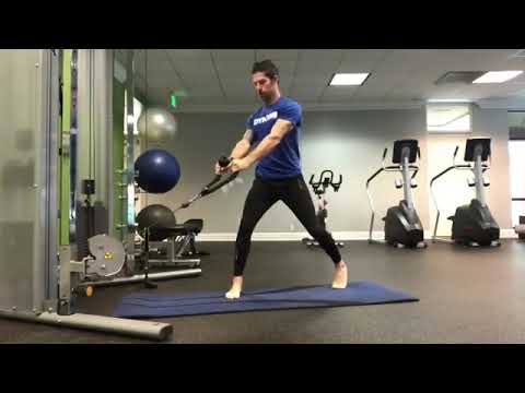 Cable Rotational Lift | myworkouts.io