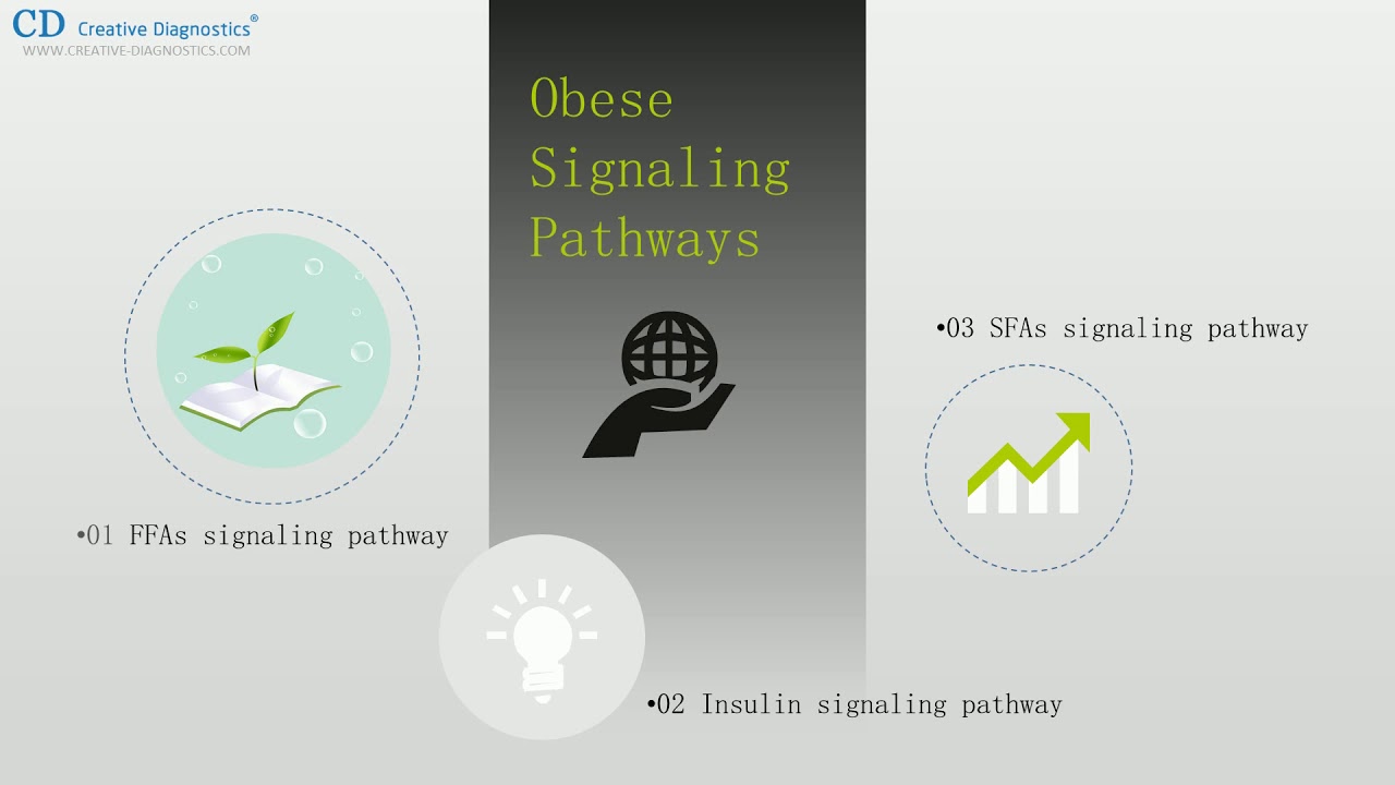 Obese-Creative Diagnostics