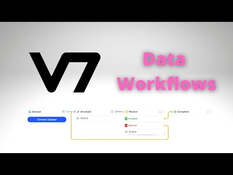 Building Data Annotation Pipelines for Computer Vision Projects | V7 Workflows