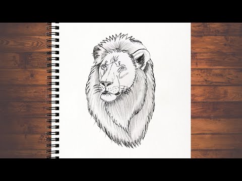 How to Draw a Lion Easy π¦