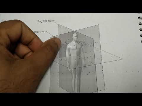 Planes of the human body| Sagittal Plane| Coronal plane| Transverse plane| Longitudinal plane