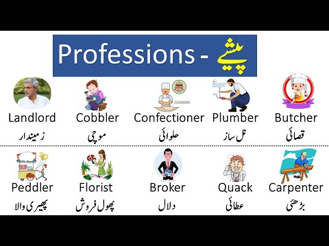 Professions Vocabulary in English and Urdu | Jobs and Occupations Names | AQ English