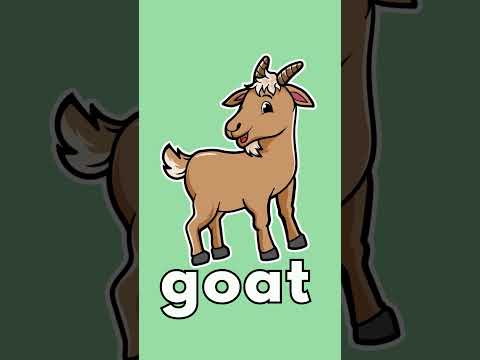 Letter G Sound and Vocabulary || words that start with letter G #alphabet #shorts #kindergarten
