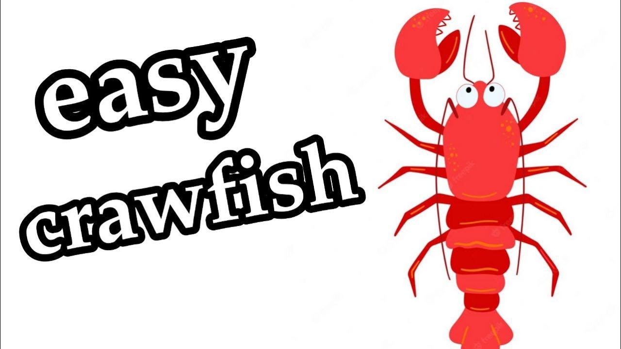Crawfish Drawing || How To Draw A Crawfish step by step