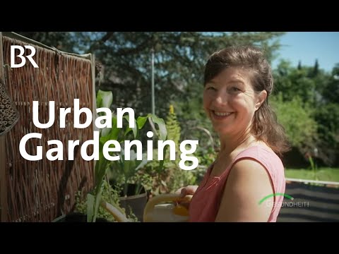 Garten in der Stadt: Gemüseanbau auf kleinstem Raum | Gesundheit | BR