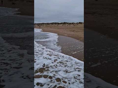 Stunning Balmedie Country Park & Beach. Aberdeenshire 🏴❤️ #Scotland #shorts #travel #beach