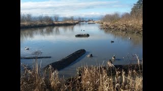 3 Best Places To See in Delta, BC - Expert Recommendations