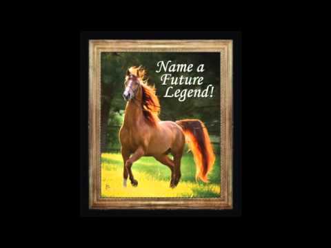 'Name a Future Legend' 2014