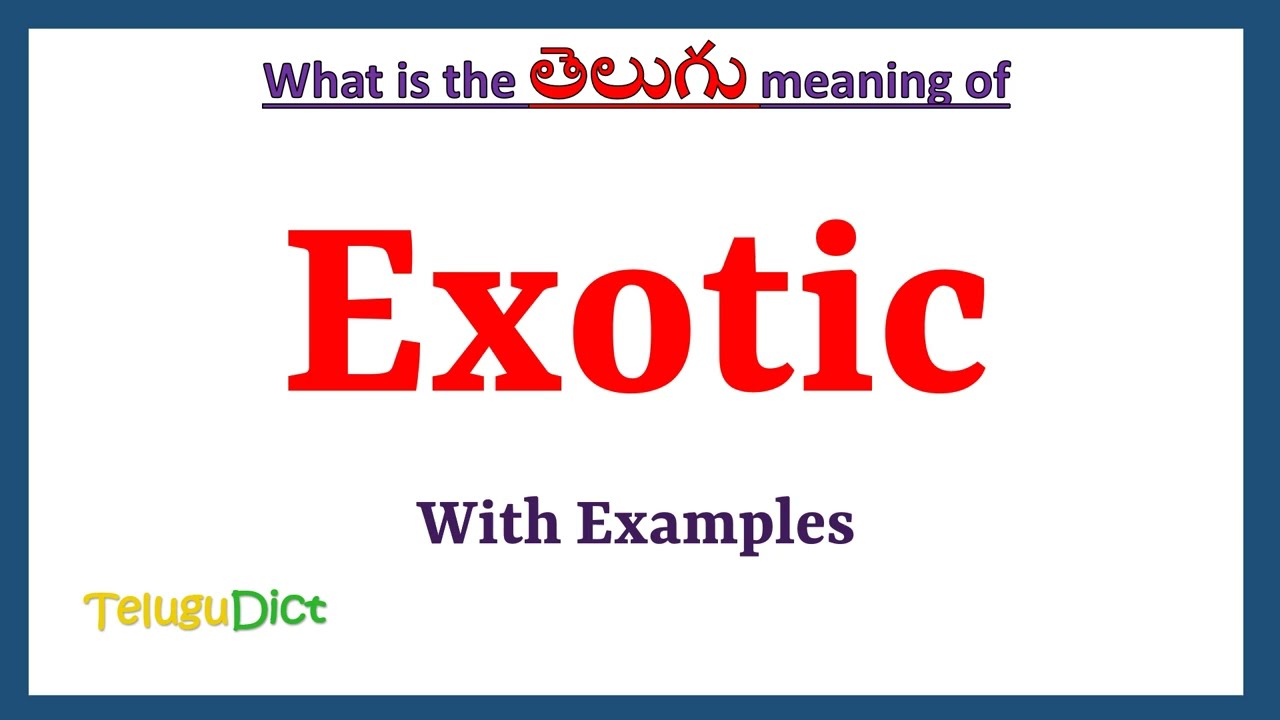Exotic Meaning in Telugu | Exotic in Telugu | Exotic in Telugu Dictionary |