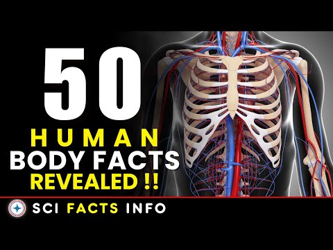 Unbelievable FACTS About the Human Body | You Won't Believe Are REAL