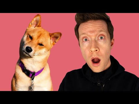 The Japanese Language: Everything You Were NEVER Taught In School