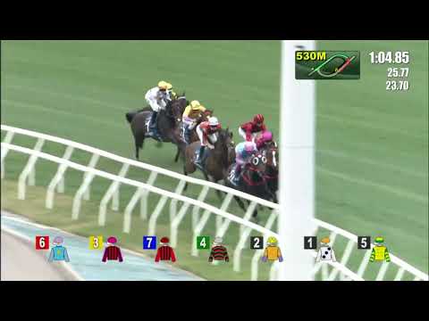 2022 Stewards Cup International Group 1 1600m