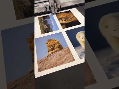What You Need to Know About Giclee Prints : What is a Giclee Art Print?