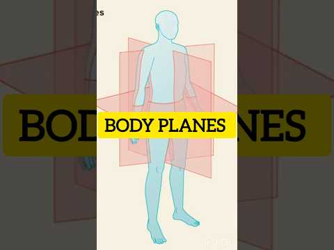 BODY PLANES AND SECTION: medial, coronal, sagittal | Basic Anatomical terms #anatomy