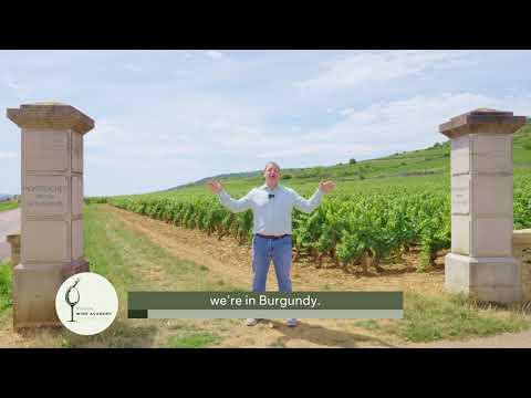 🍷Join us🍷 for the BURGUNDY GRAND CRU WINE TRIP EXPERIENCE on November 10-12th, 2023!