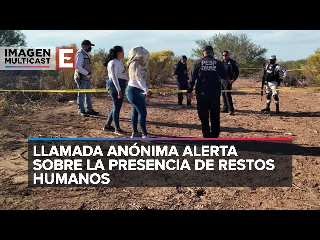 Localizan tres cuerpos en fosa clandestina de Chihuahua