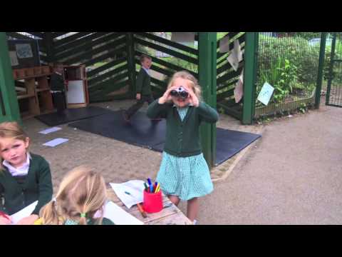 Website Films